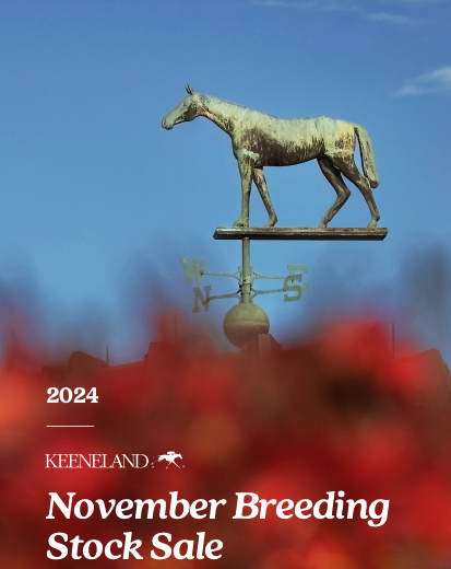 ThoroughWorks - 2024 November Breeding Stock Sale