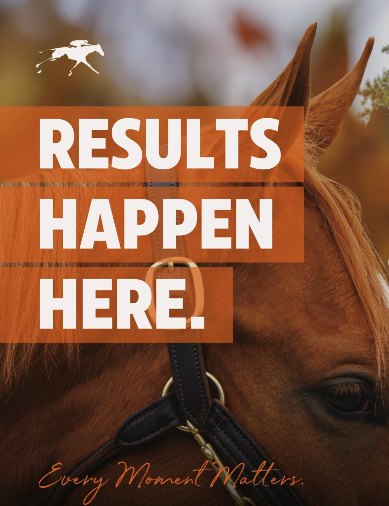 ThoroughWorks - 2025 November Horses Of Racing Age Sale